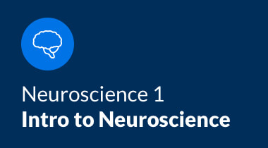 Neuroscience 1: Intro to Neuroscience